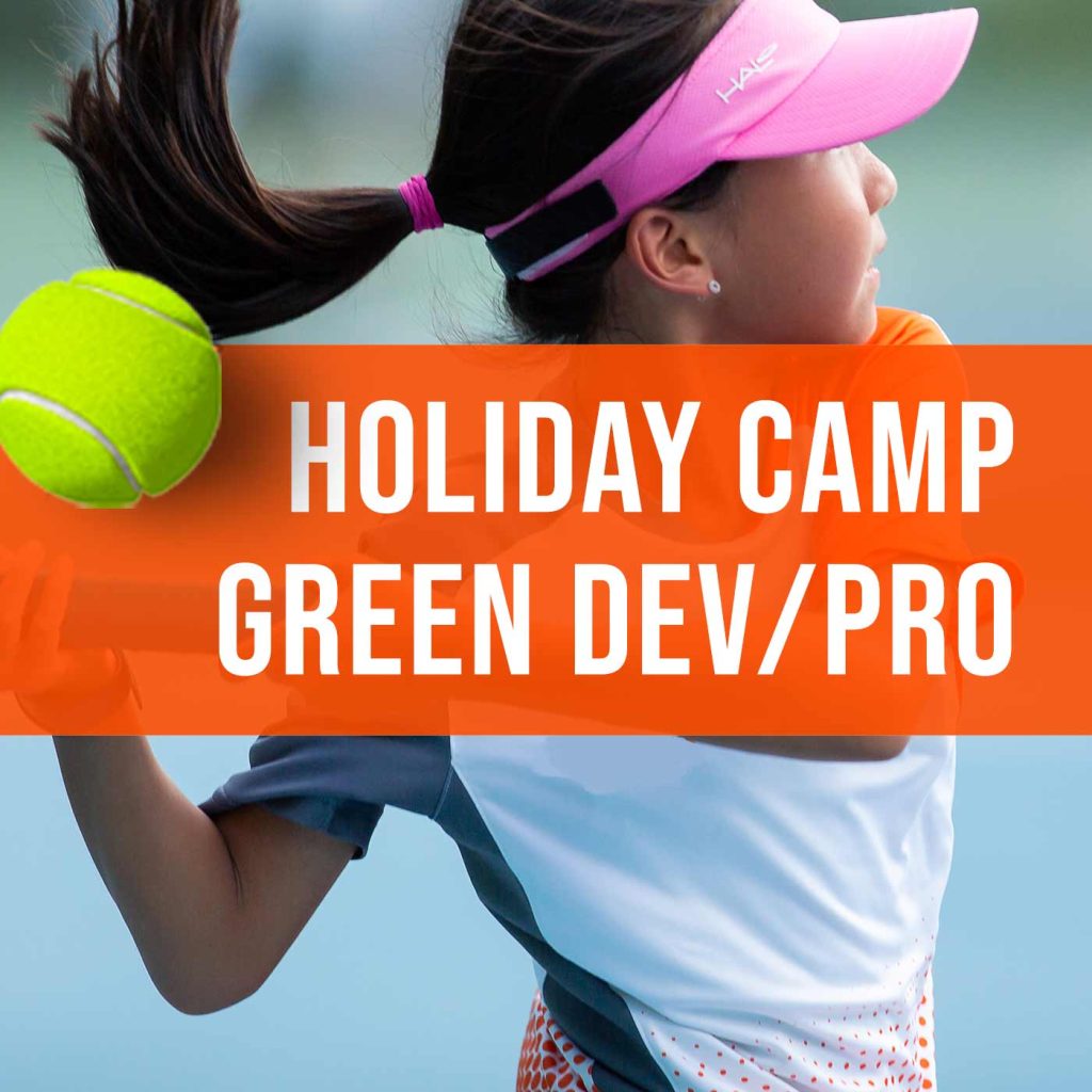 HKTC Green Dev/Pro Christmas Camp 2022